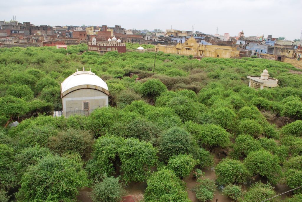 Nidhivan - The VrindWoods Hotel, Vrindavan